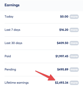 21 Best Affiliate Programs for Beginners (In ANY Niche) [2025]